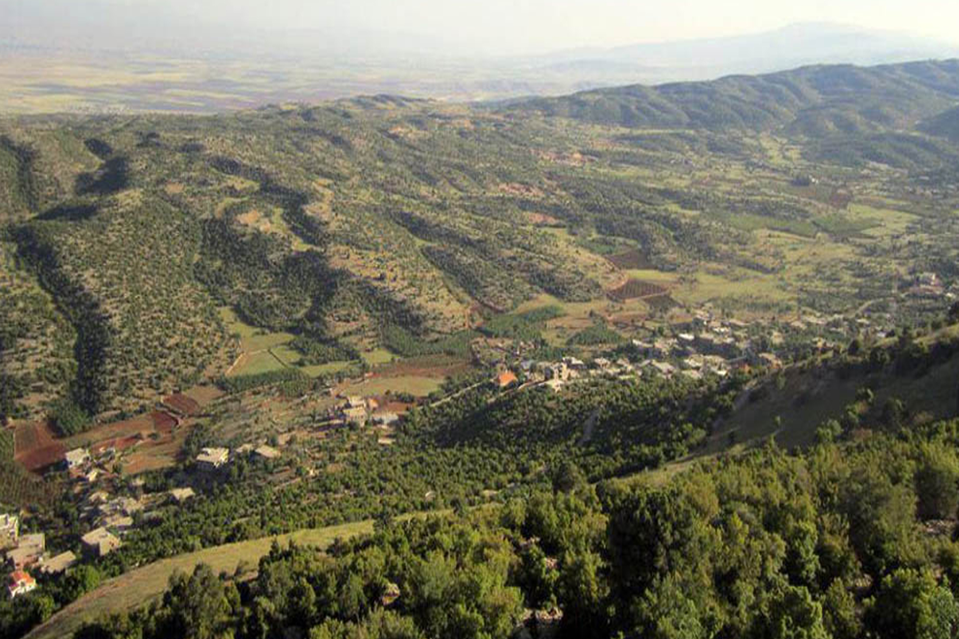 Barka - Arak Australia